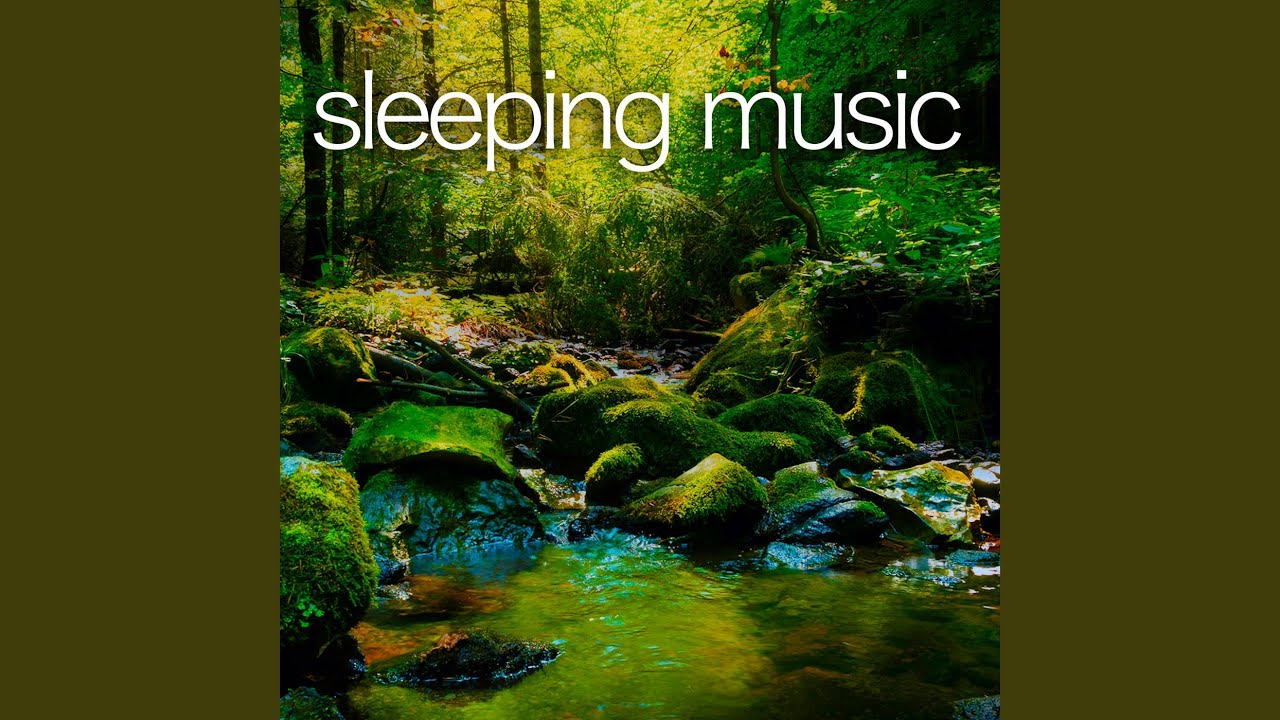 Relaxing Forest Music - YouTube Music