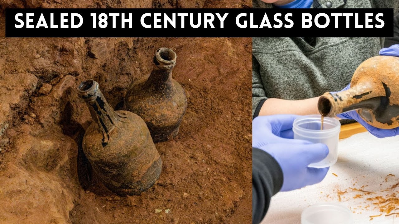 250 year old cherries found buried beneath George Washington’s Mount ...