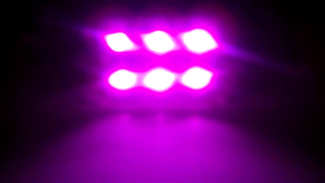 LEDbulbz : "HOT-PINK" 6 FLUX-LED Bulb review...42MM-44MM LEDs!! 211-2 ...