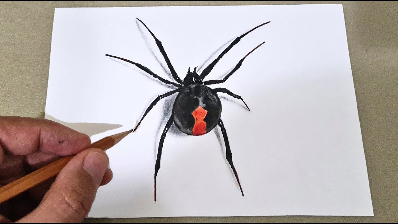 how to draw 3d drawing spider on paper - YouTube