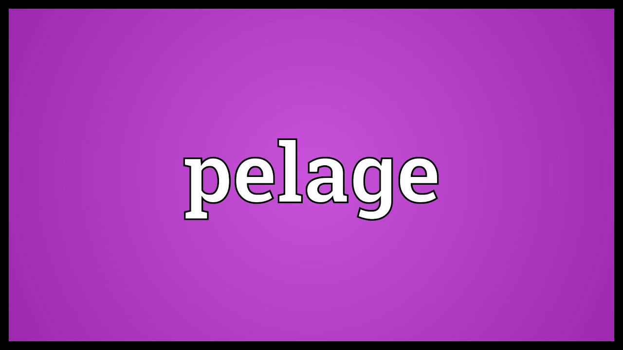 Pelage Meaning - YouTube