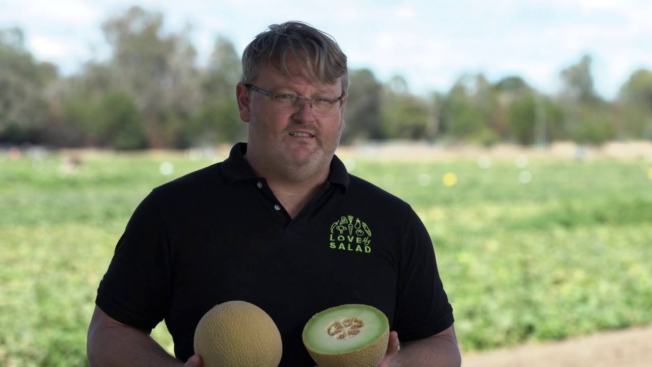 Rijk Zwaan melon varieties at the 2020 Australian Melon Conference ...