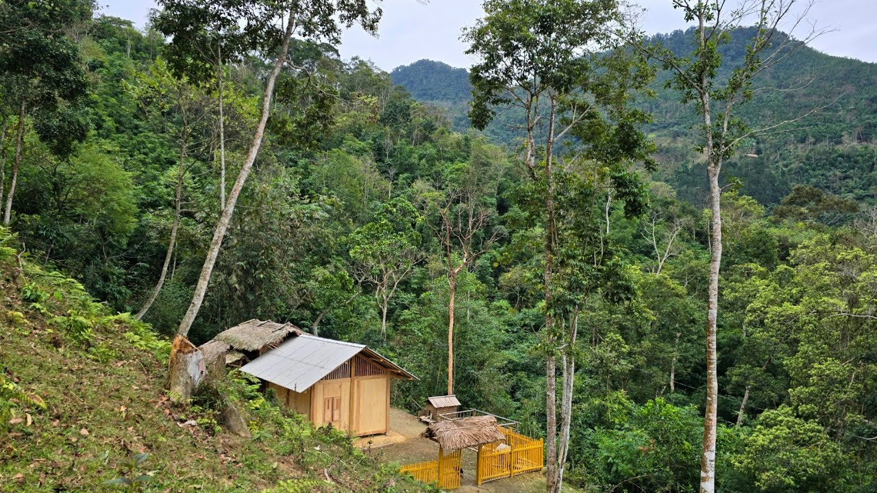 FULL VIDEO 365 days of a single woman living in isolation deep in the ...