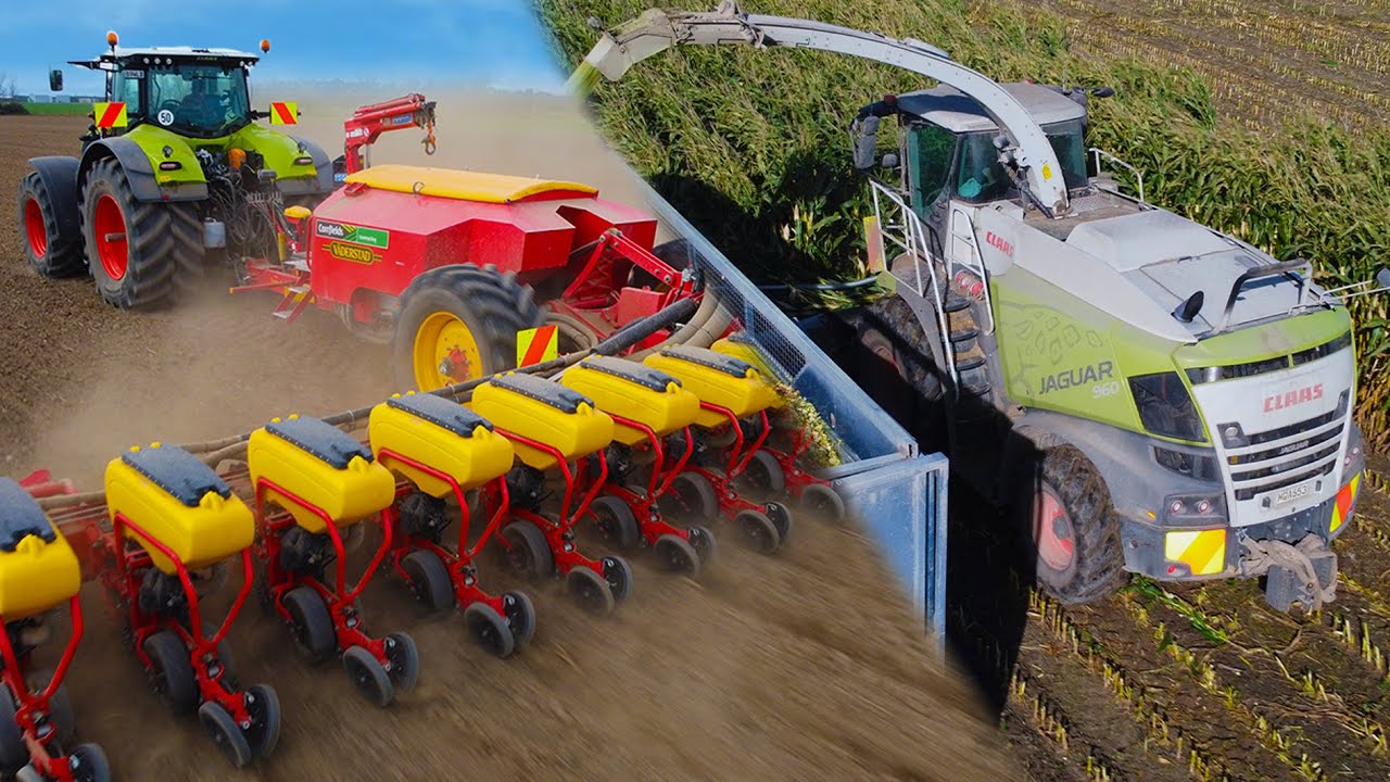 The Story of Maize - Planting to Harvest - YouTube