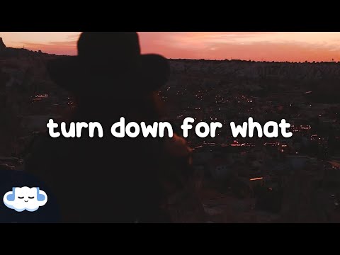 DJ Snake & Lil Jon - Turn Down For What (Lyrics)