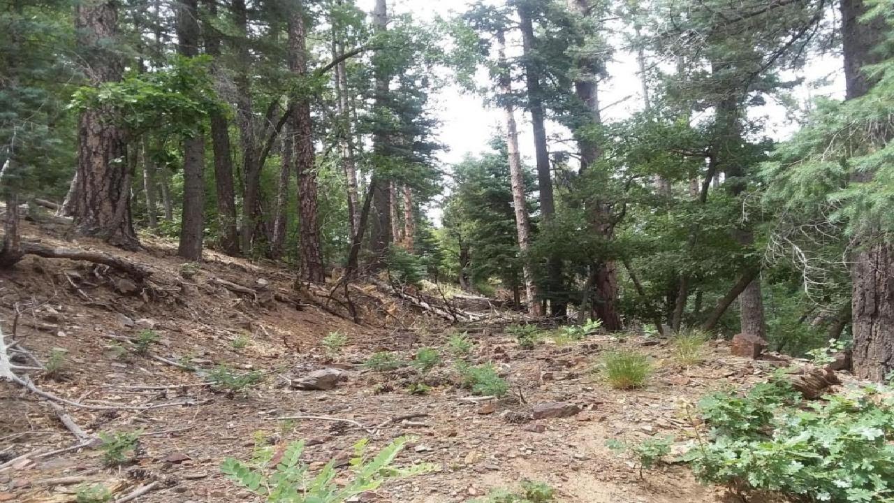 8490 S Senator Highway, Prescott, AZ Presented by Ronald Boik. - YouTube