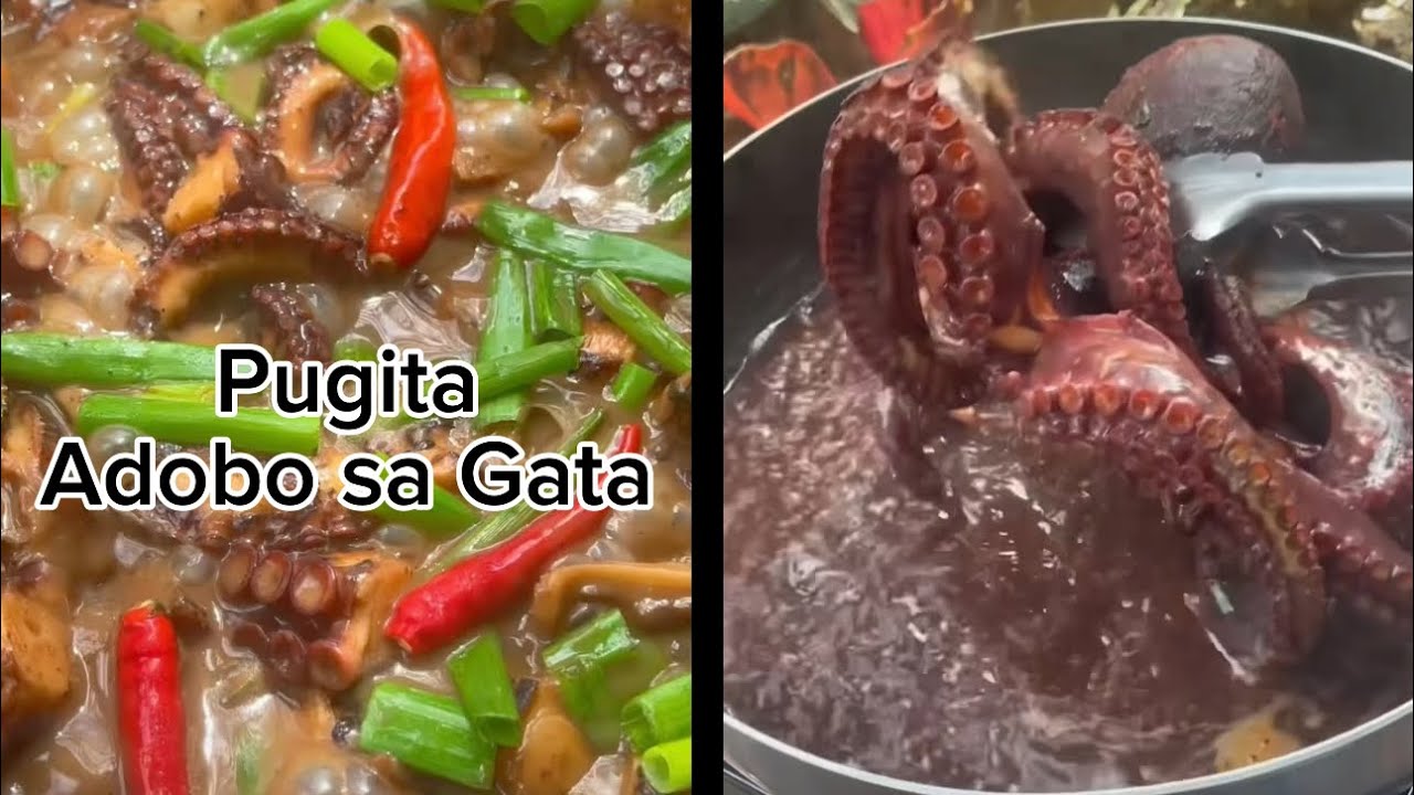 SPICY PUGITA ADOBO SA GATA RECIPE | HOW TO COOK SPICUY OCTOPUS ...
