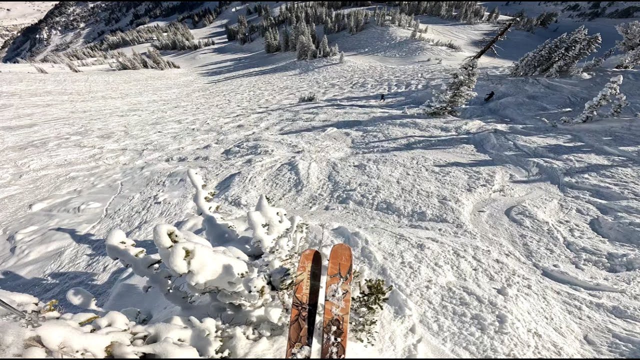 Bluebird powder day at snowbird - YouTube