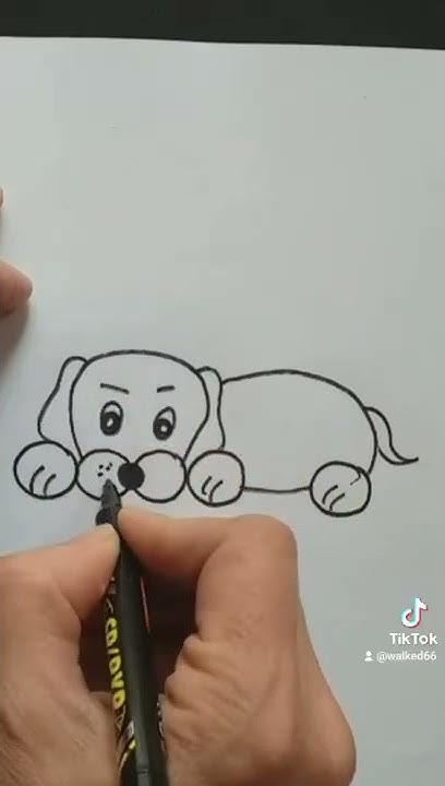🐩🐕🐕🦺🦮رسم كلب Youtube