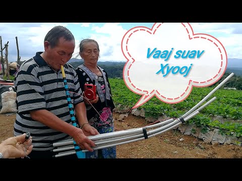 Ep.26 Vaaj suav xeem xyooj ว่างสัว แซ่โซ้ง nyob lub zog Ntoo xaab meem บ้านดงสามหมื่น - YouTube