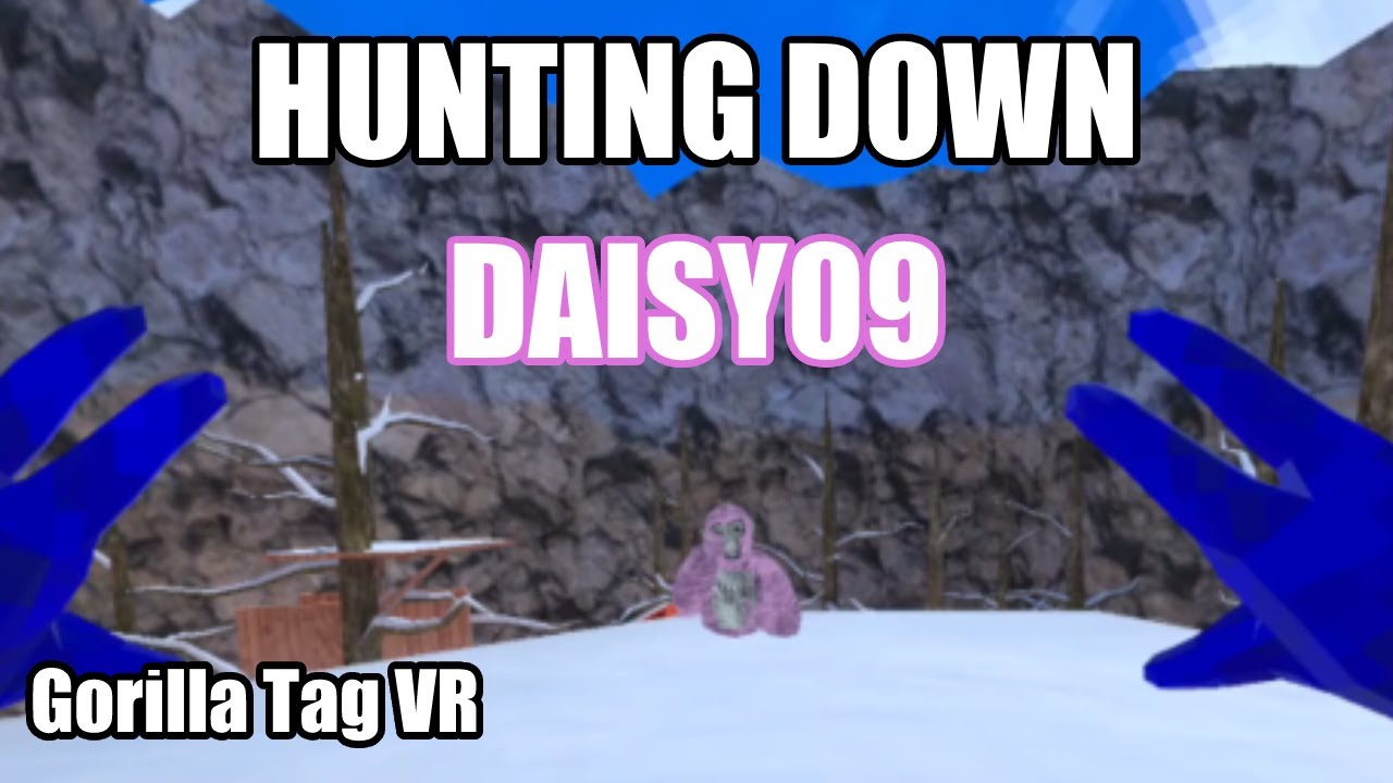 Hunting Down Daisy09 | Gorilla Tag VR - YouTube