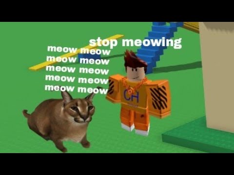 raise a floppa Auto clicker (in a nutshell) part 2! - YouTube