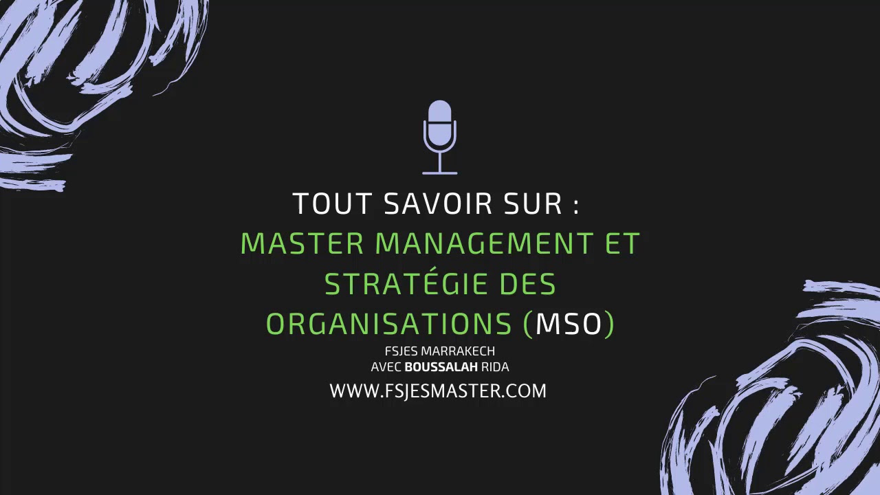 Tout savoir sur Master Management et Stratégie des Organisations (MSO ...