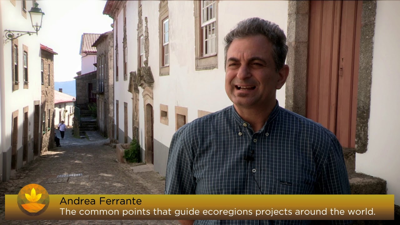 Andrea Ferrante - YouTube
