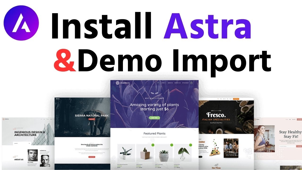 How to Install Astra Theme in WordPress and Import Demo | Global IT ...