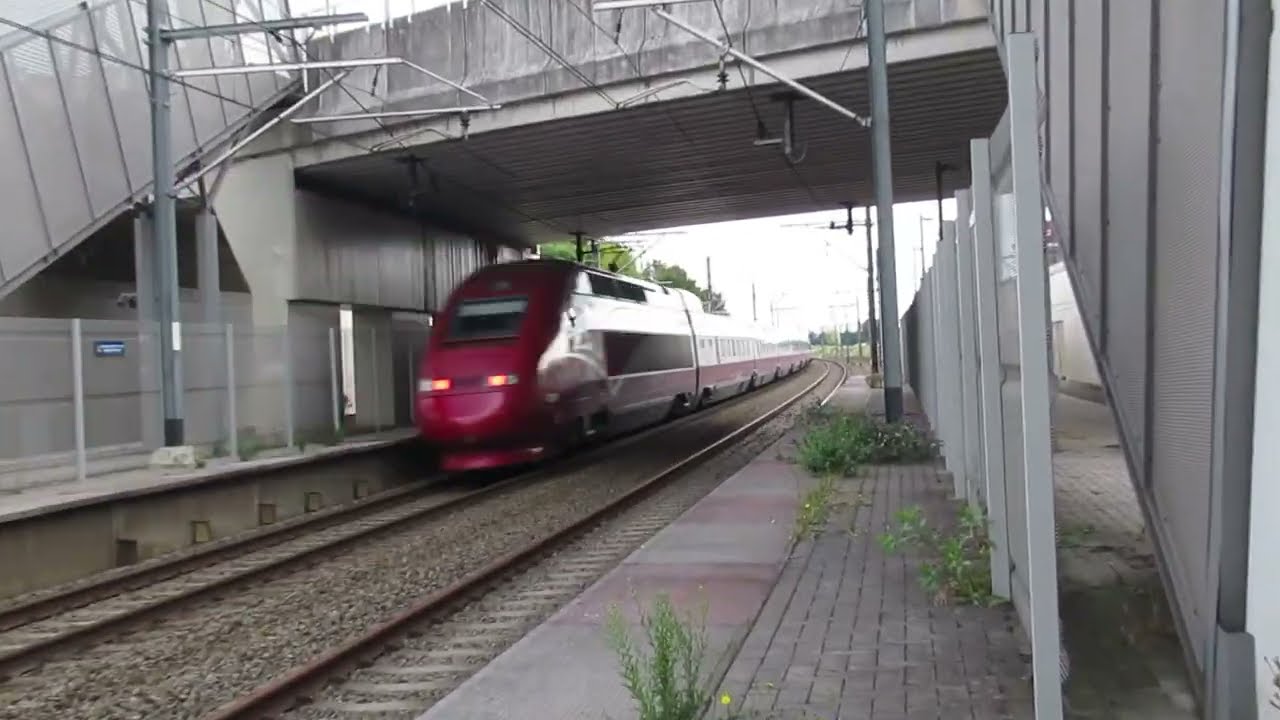 200 kph trains in Nossegem Station! IC/Thalys/S9 - YouTube