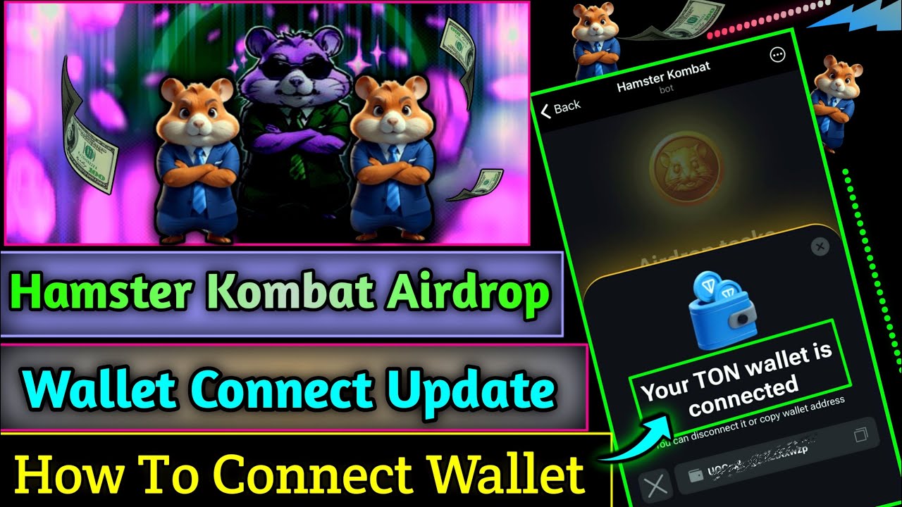 Hamster kombat Airdrop Wallet Connect || How To Use TON Wallet ...