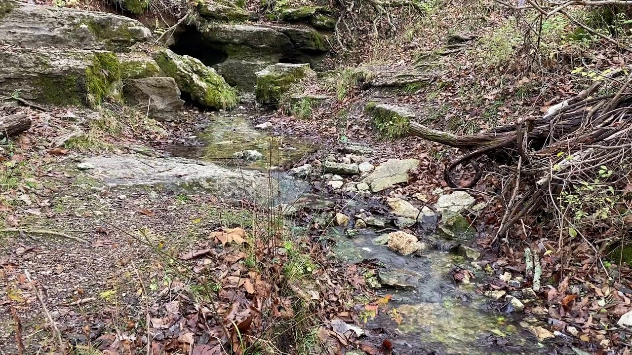 Spring at Babler State Park - YouTube