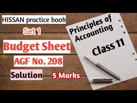Budget Sheet (AGF No. 208) ||Class 11||HISSAN Model Question Set 1 ...