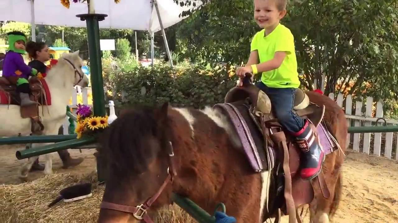 Mini horse ride - YouTube