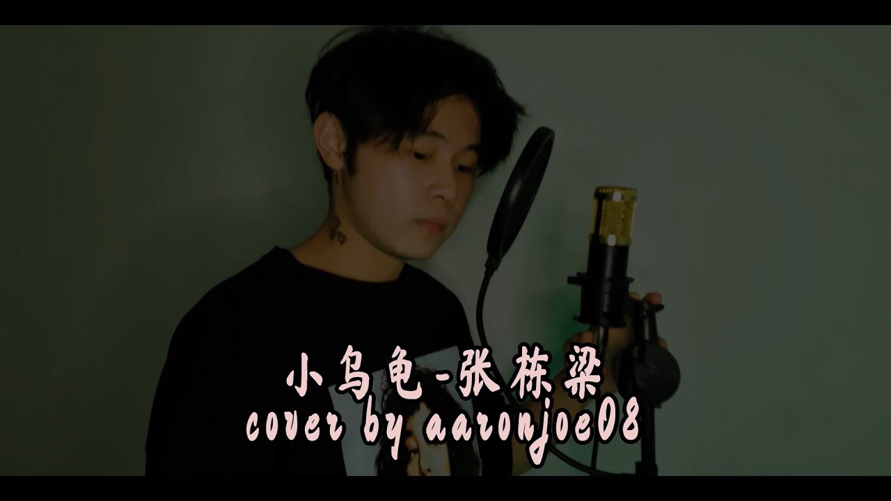小烏龜 Xiao wu gui - 張棟樑 Nicholas Teo ( Cover by Aaronjoe ) 微笑Pasta OST ...