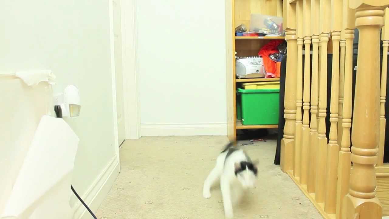 Stop Motion Live Action - Test - YouTube