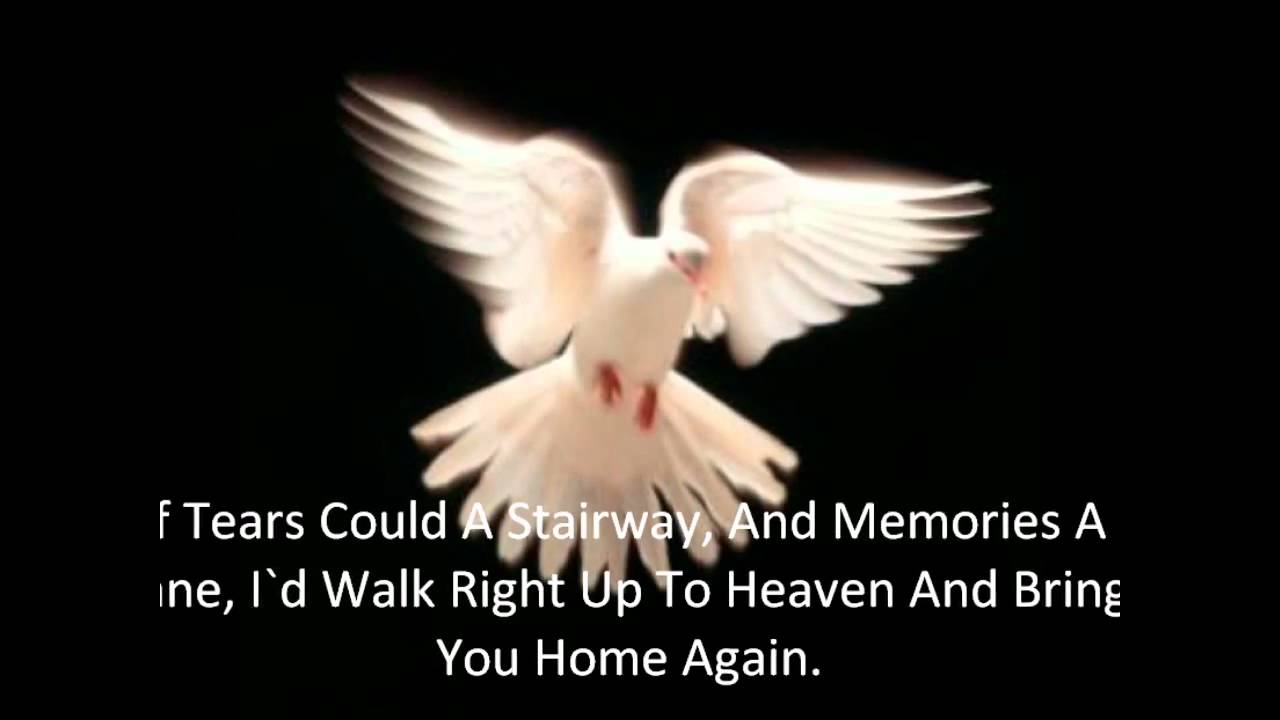 Steven Street RIP - YouTube