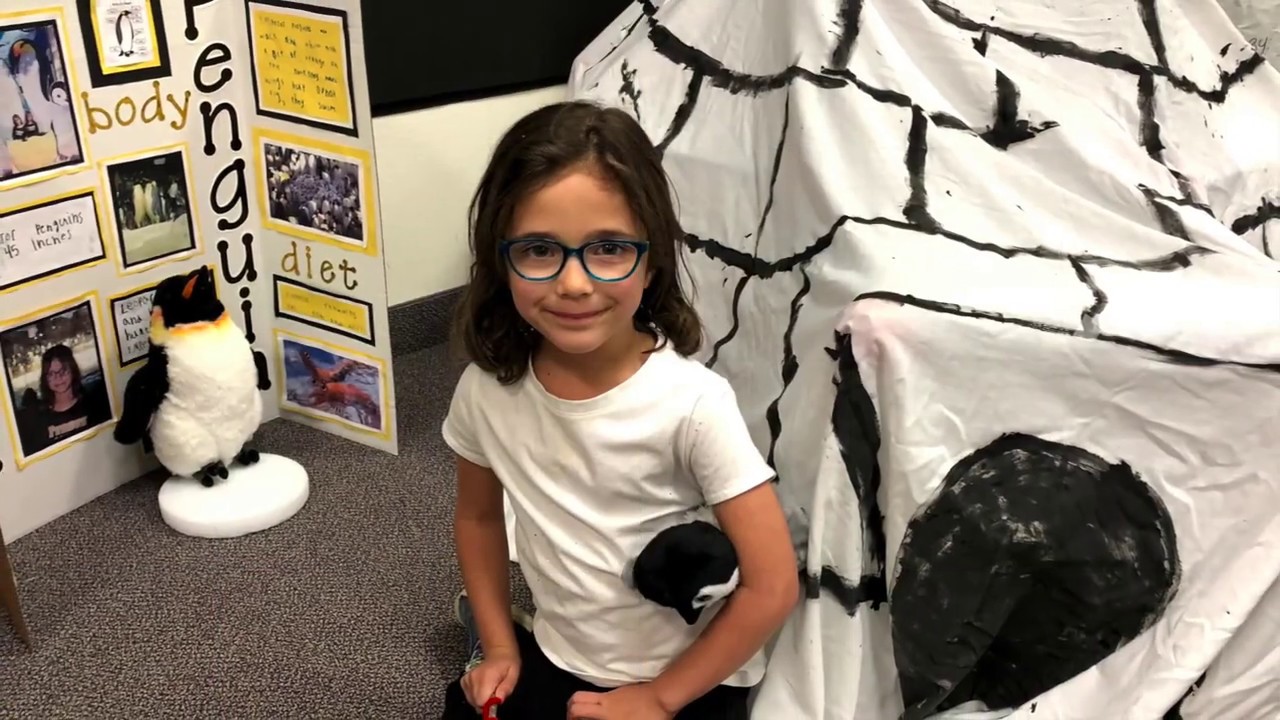 Rover Kindergarten PBL Showcase Night - YouTube