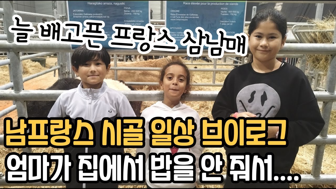 남프랑스 시골에서 도플갱어를 만나다 프랑스생활 육아브이로그 유럽브이로그 Youtube
