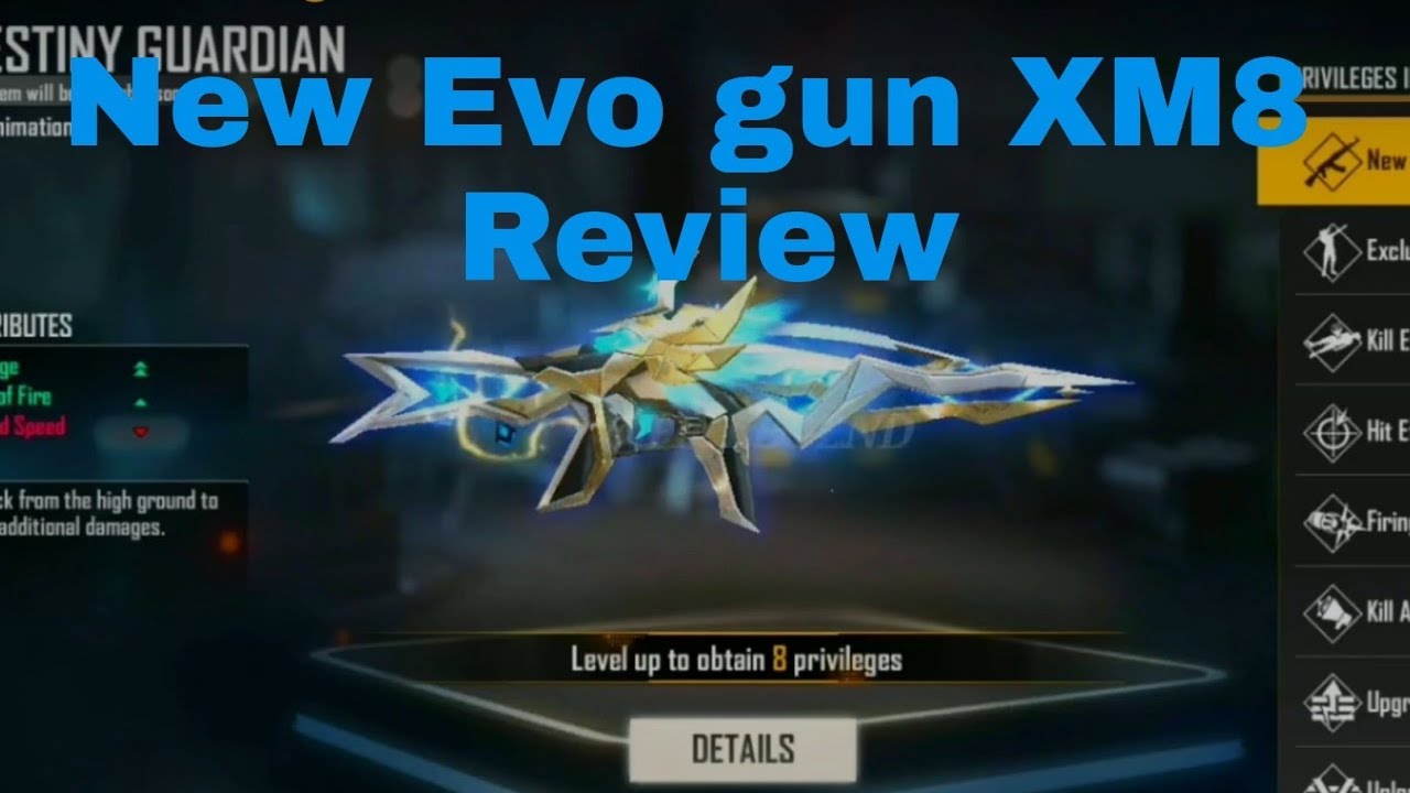 New Evo gun XM8 review - YouTube