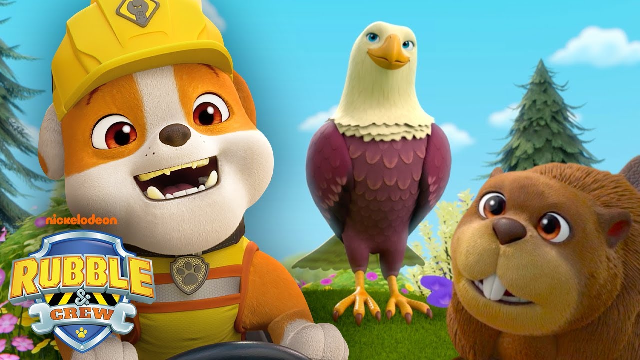 Rubble Rescues Builder Cove's Animals! w/ PAW Patrol Chase | 1 Hour ...