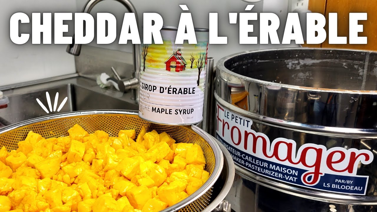 Fromage CHEDDAR maison au SIROP D'ÉRABLE - Test du Petit Fromager de LS ...
