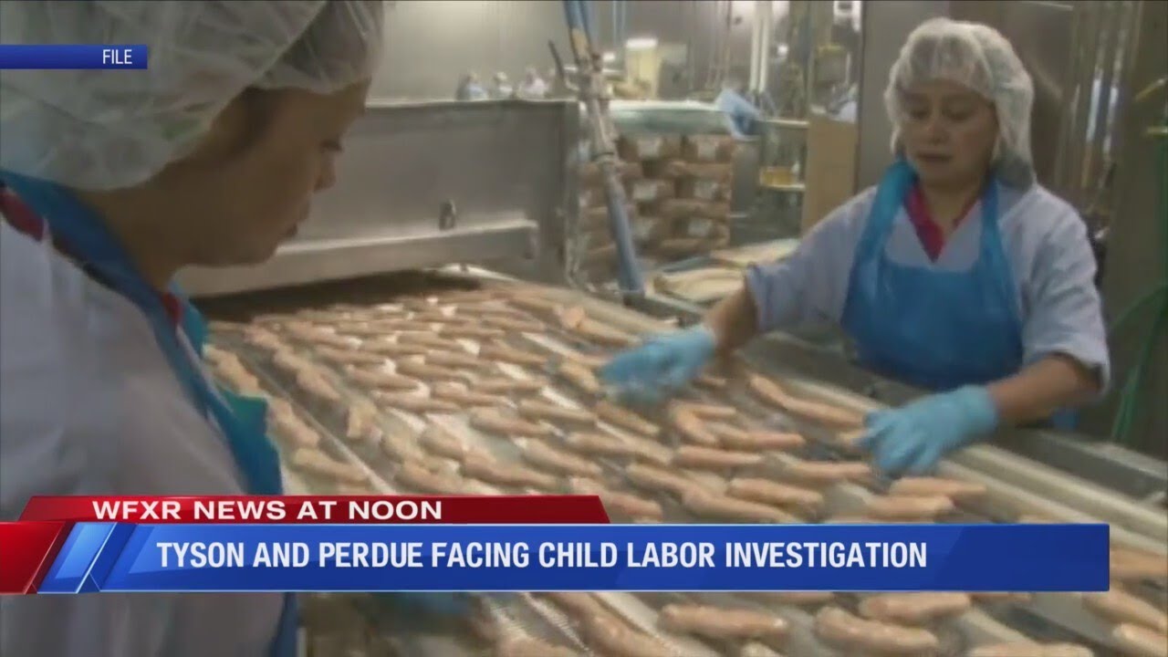 Tyson and Perdue facing child labor investigation - YouTube