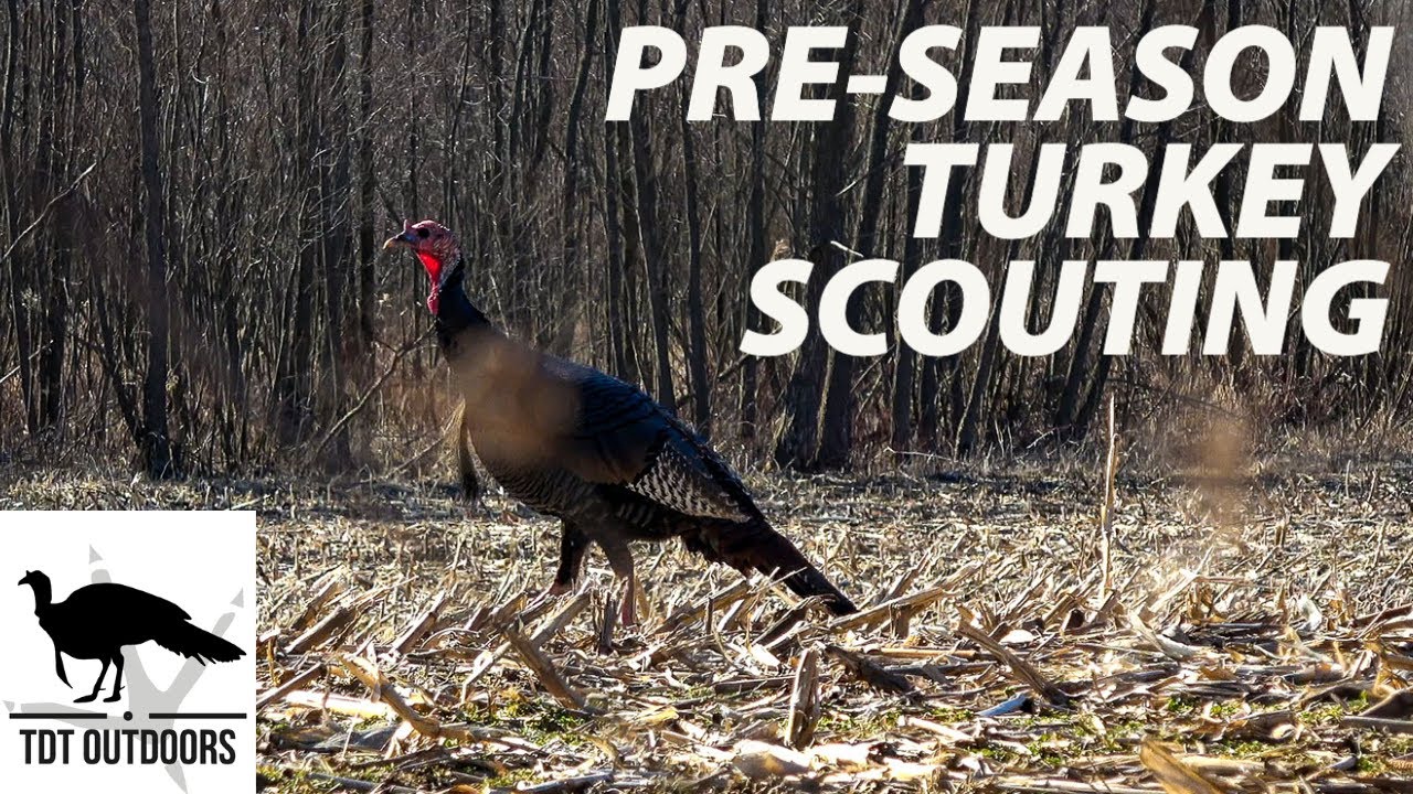 Pre-Season Turkey Scouting⎮TARGETS Acquired - YouTube