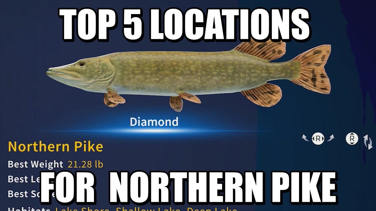 Top 5 Locations To Catch A Diamond Northern Pike In Call Of The Wild ...