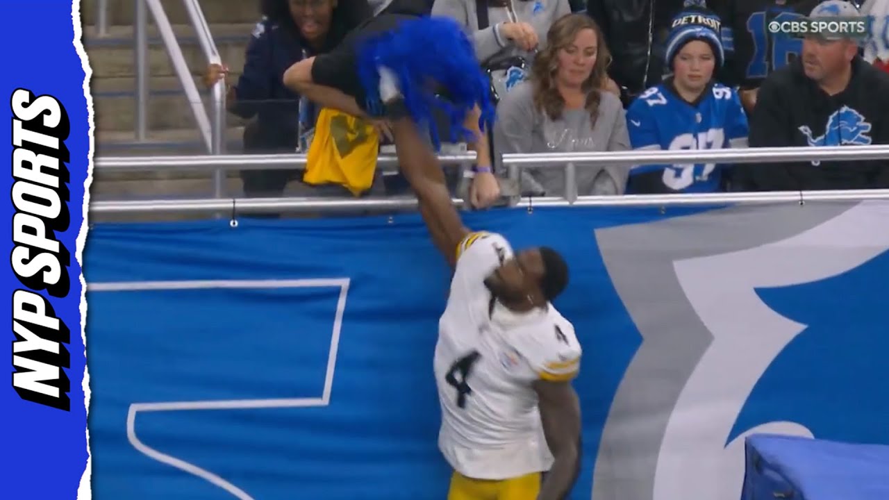 Steelers DK Metcalf appears to STRIKE Lions fan in stands during wild ...