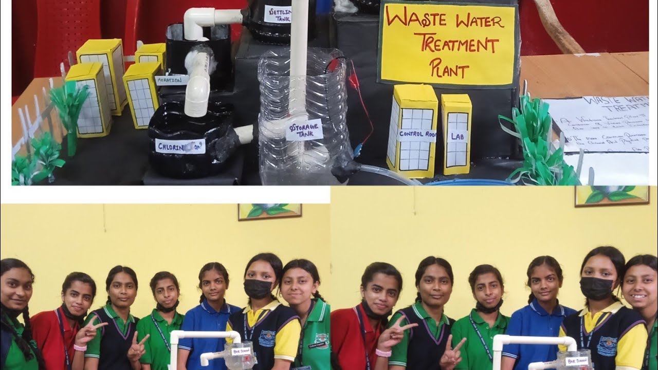 science project | ideas for science project | award winning science ...