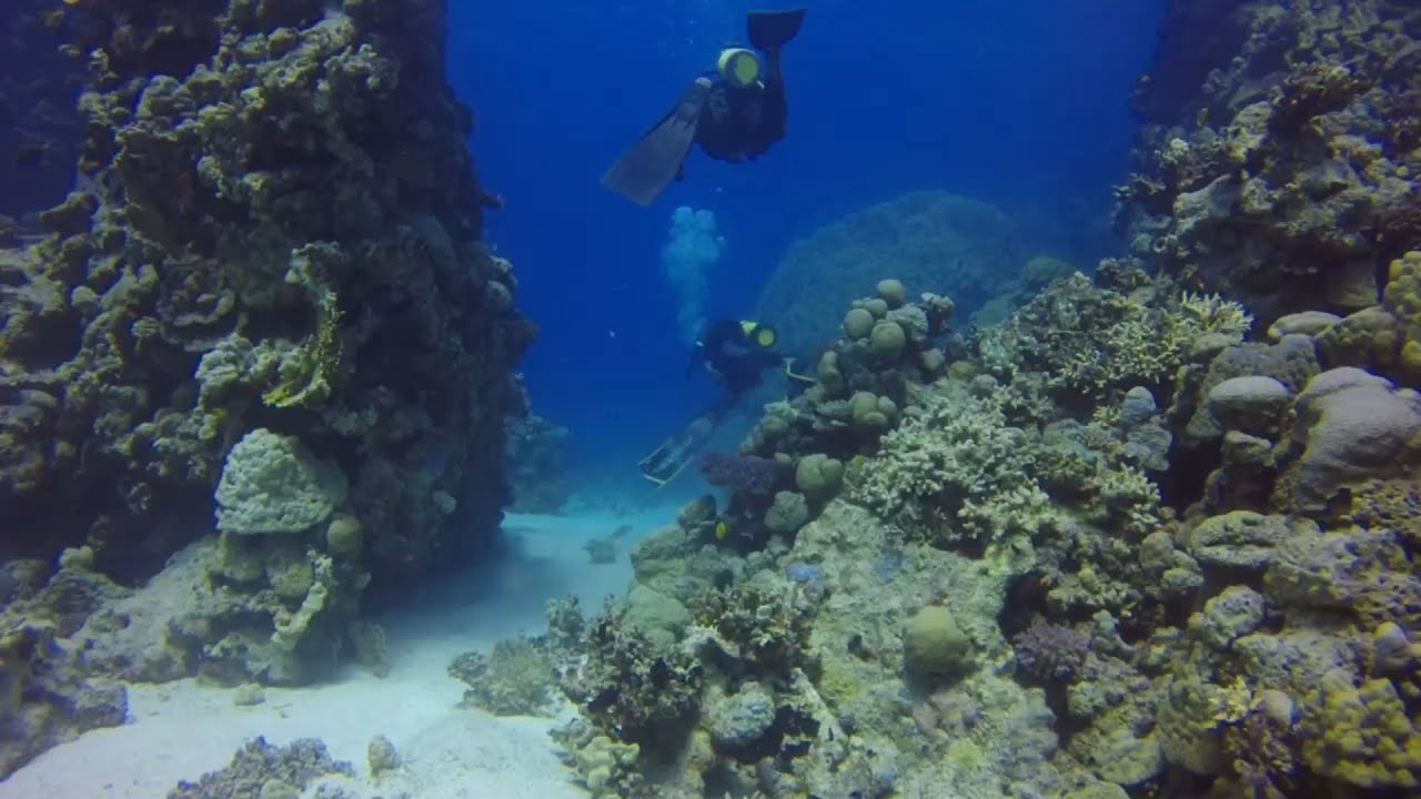 Amazing & Beautiful Reef In Yanbu KSA//Scuba Diving Vlog - YouTube