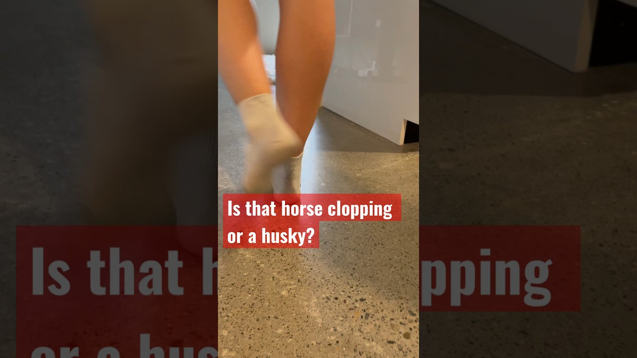 Huskies clip clopping … - YouTube