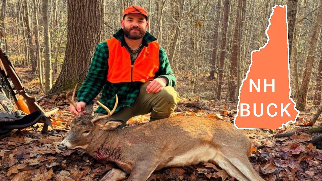 NH - Bare Ground GRUNT BUCK - YouTube