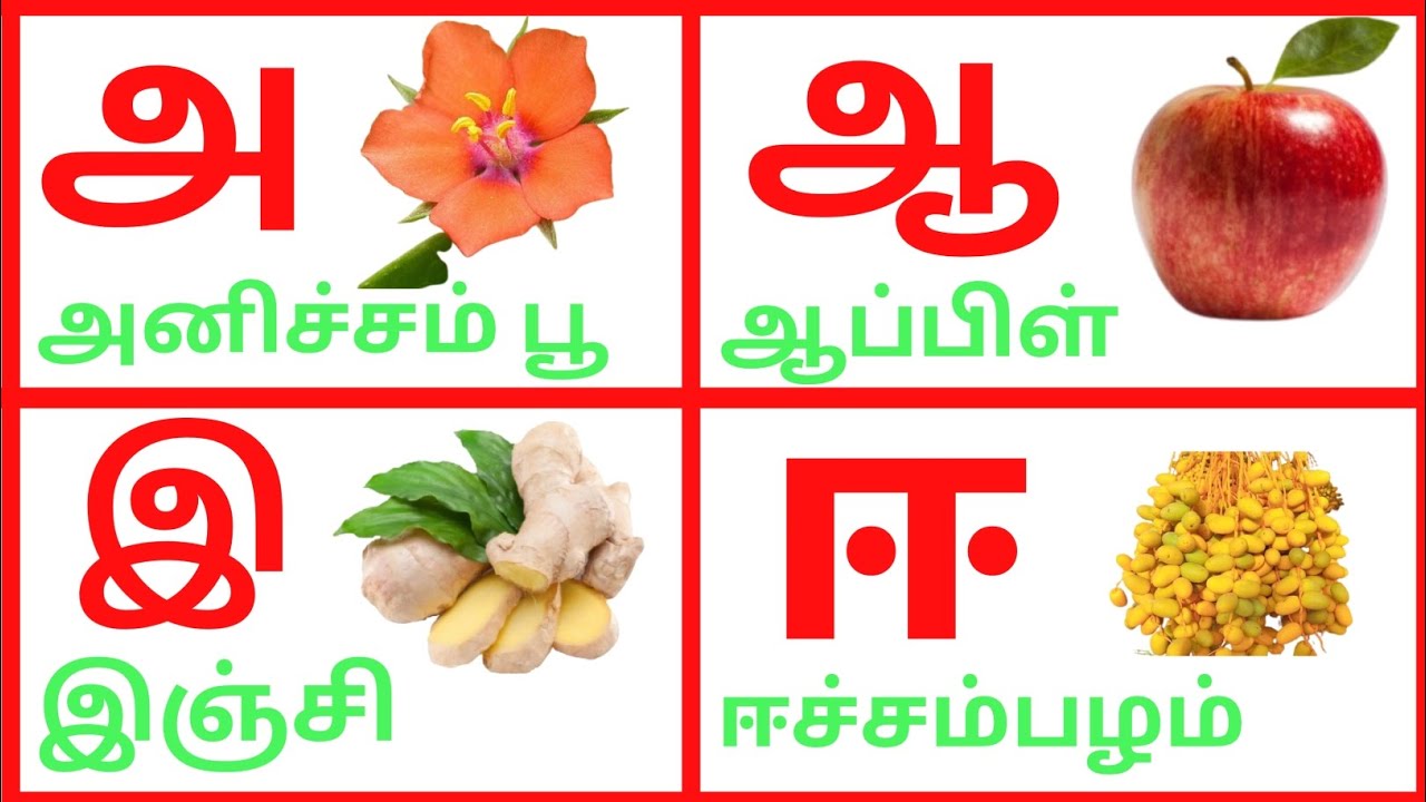 உயிர் எழுத்துக்கள் |learn tamil alphabets | a aa e ee | tamil letters ...