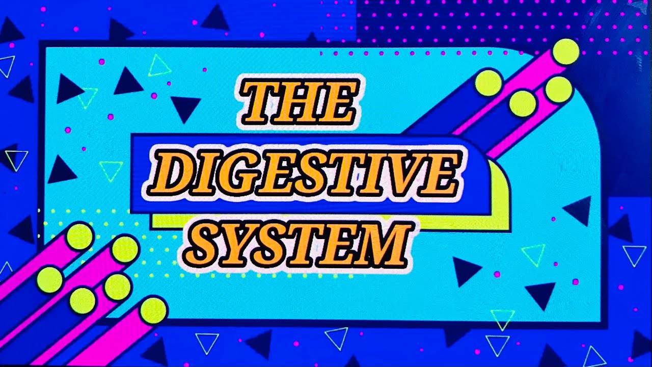 DIGESTIVE SYSTEM | Grade 8 Science Quarter 4: Module 1 - YouTube