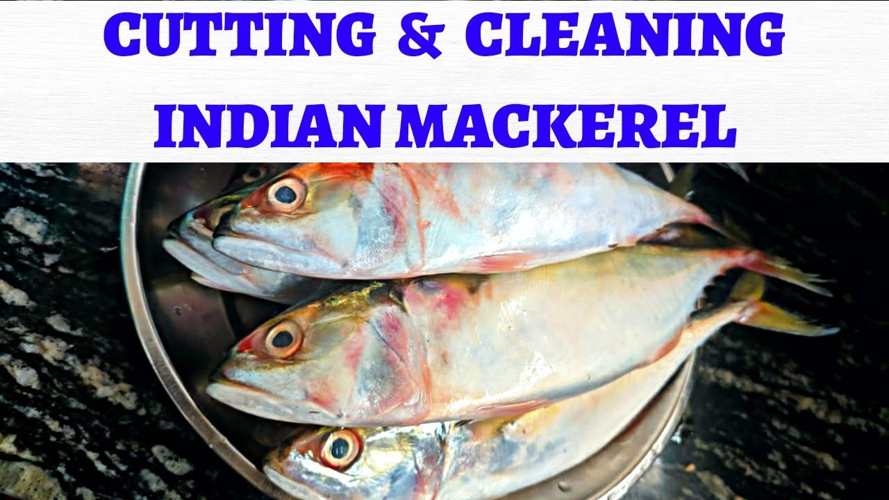 How to Clean Bangda Fish at Home | Easy Indian Mackerel Fish Cutting ...