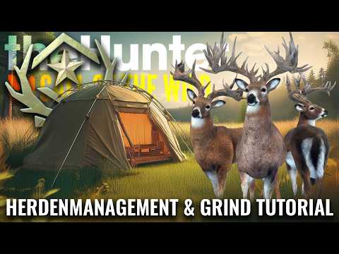 Komplettguide zum HERDENMANAGEMENT und GRIND SETUP! | theHunter Call of the Wild