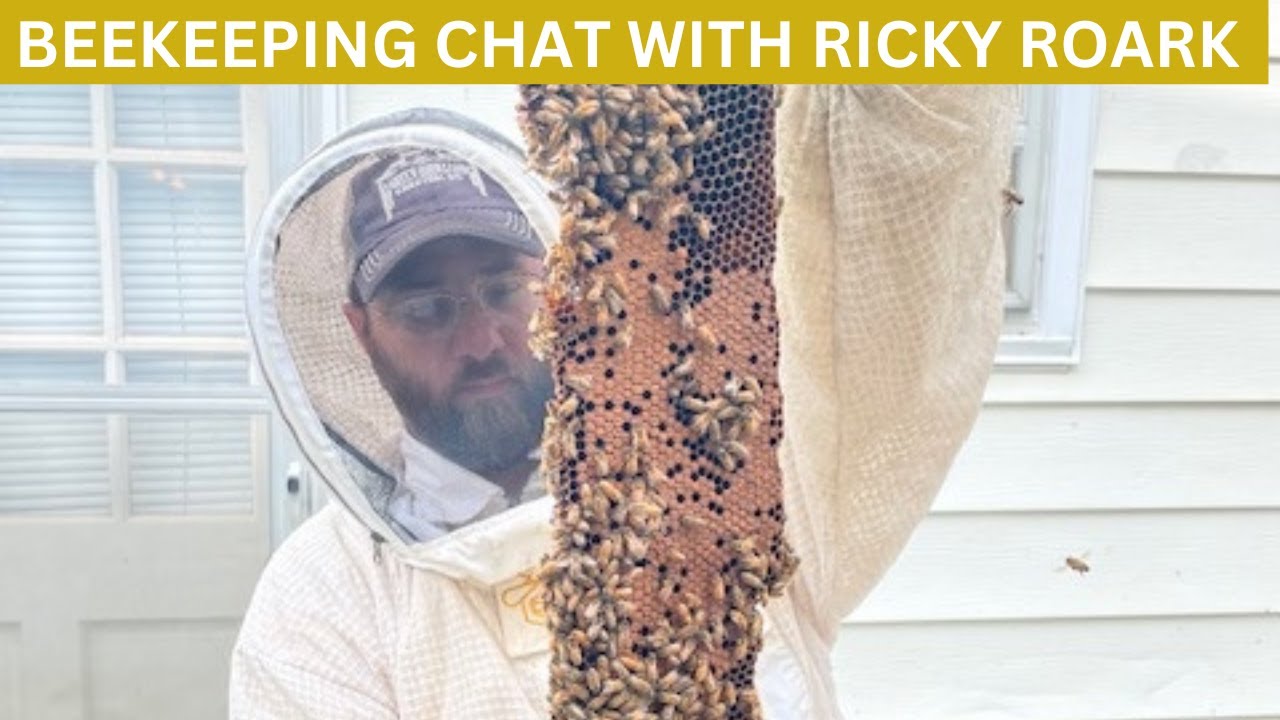 WILDWOODS BEEKEEPING CHAT with RICKY ROARK - YouTube