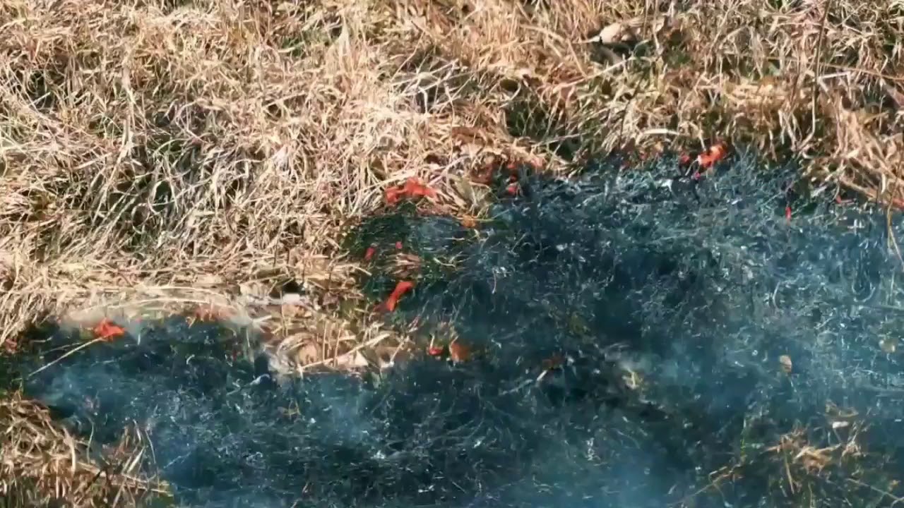 #Mercedes #mikhaid litvin #fire #gt63 #oldday #miss #car - YouTube