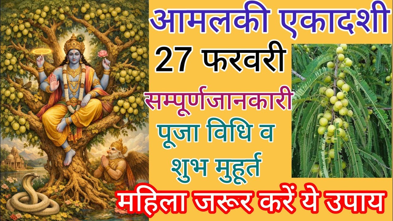 27 February Amliya ekadashi व्रत संपूर्ण जानकारी//अम्लीय एकादशी केव्रत ...