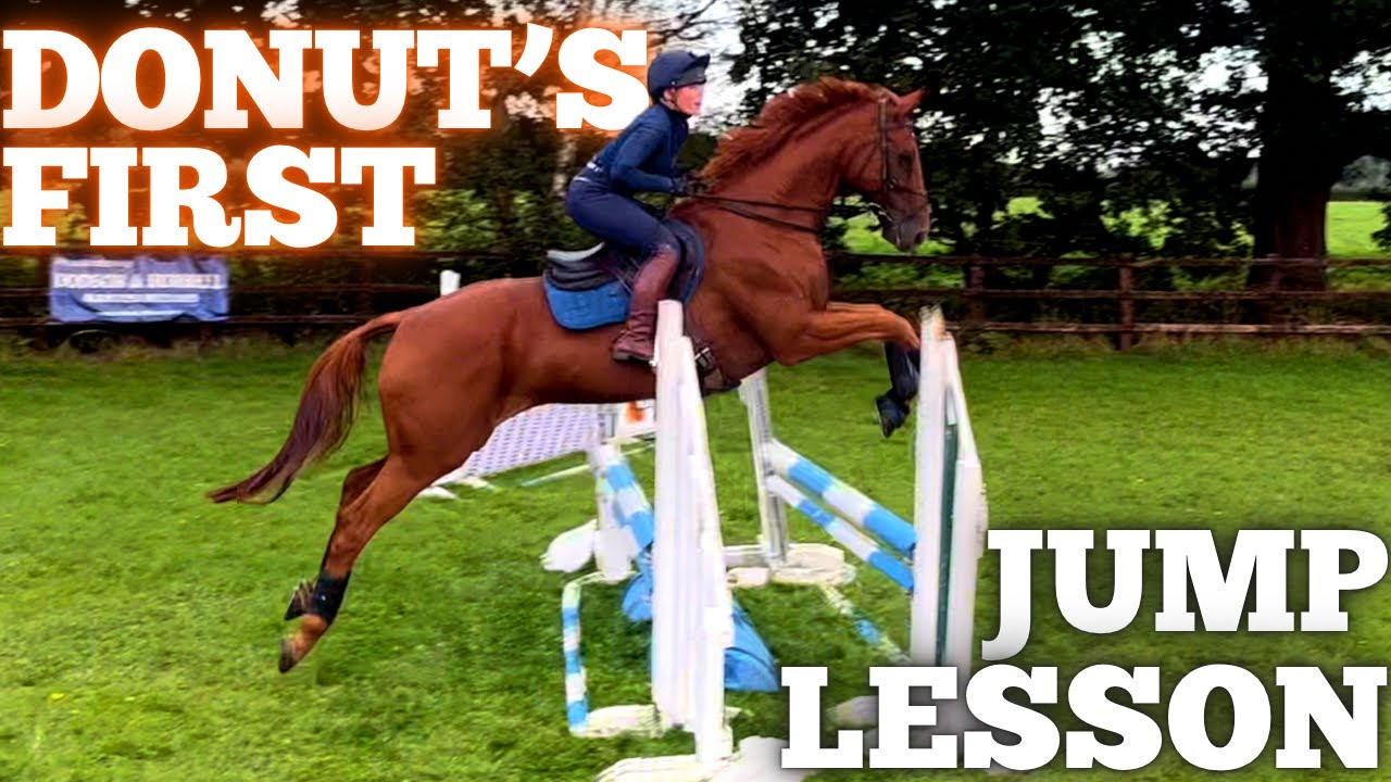 DONUT’S FIRST JUMP LESSON- Jumping a sharp, green horse - Lesson ...