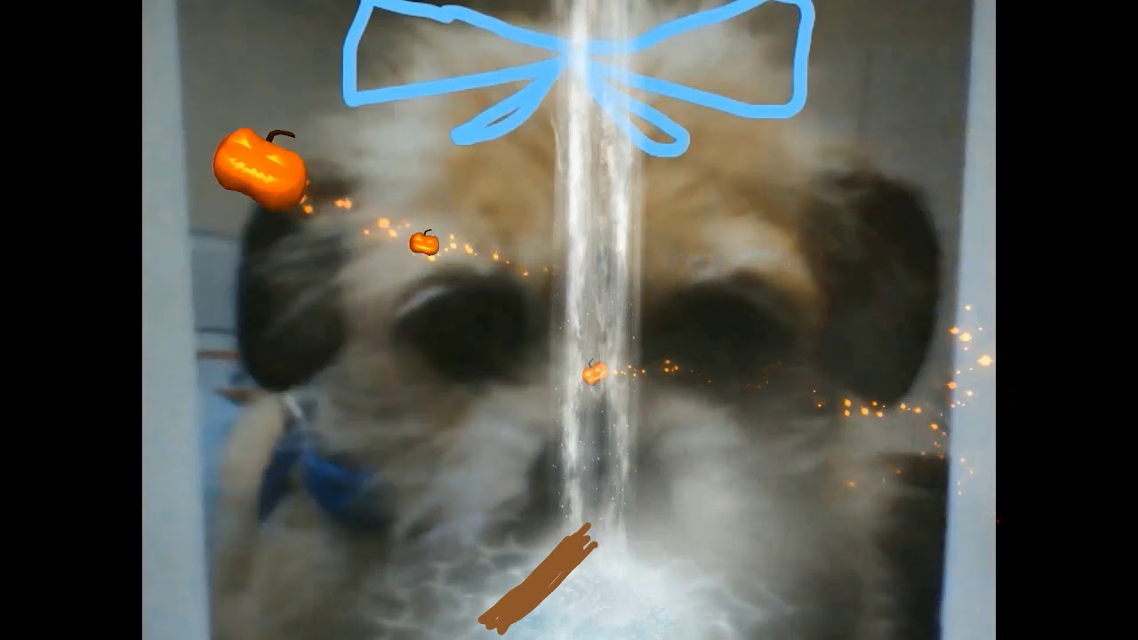 EXPLODING CIGAR - YouTube