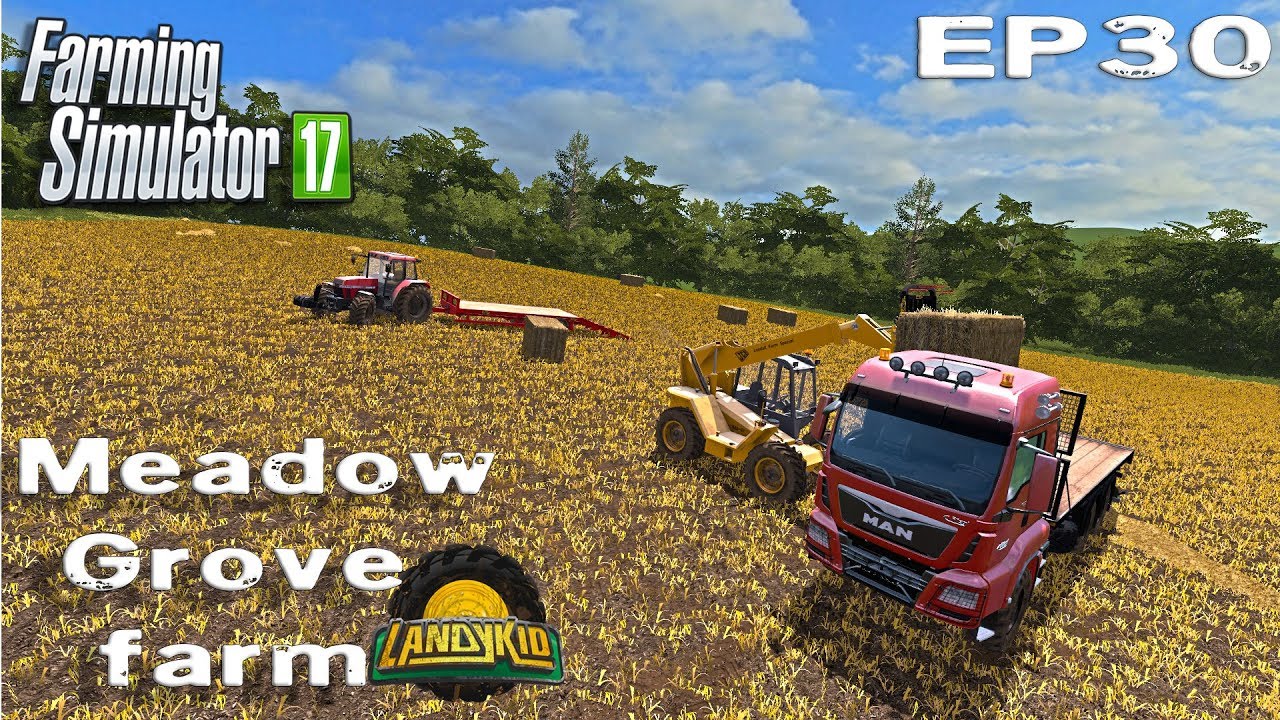 Farming Simulator 17 | Meadow Grove | EP30 - YouTube